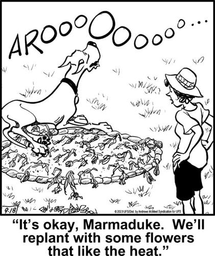 Marmaduke | Entertainment | thederrick.com