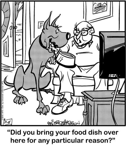 Marmaduke | Entertainment | thederrick.com