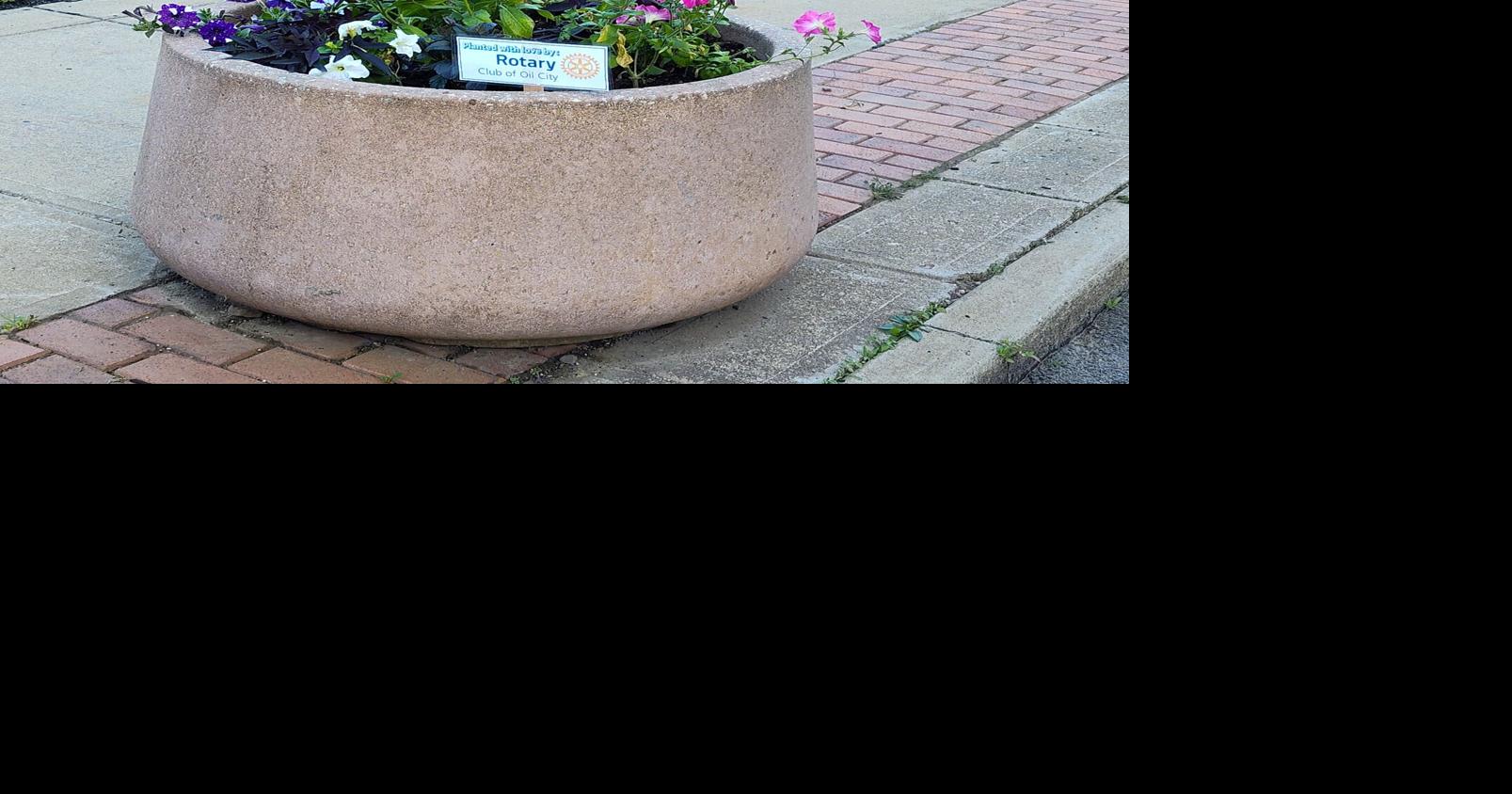 OC Rotary plants flowers | Community News | thederrick.com