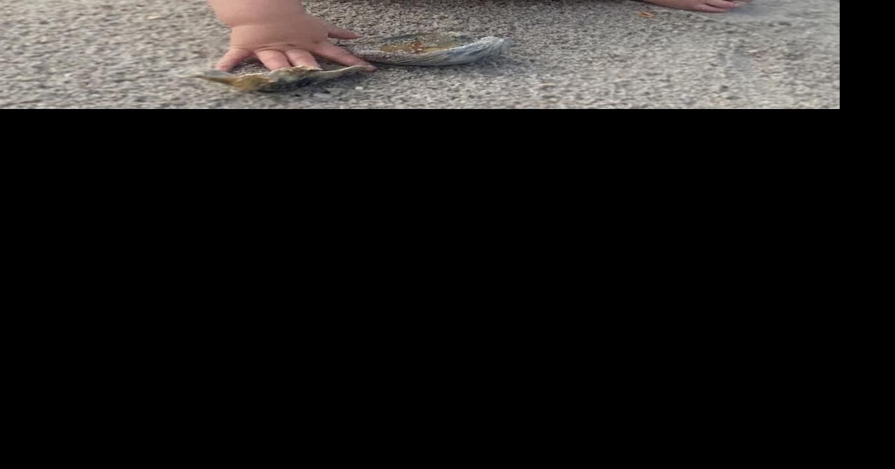 FIRST BIRTHDAY: Loretta Ruth Brehm | Community News | thederrick.com