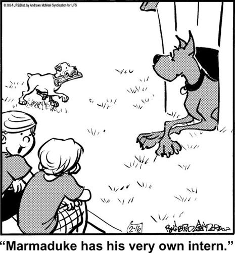 Marmaduke | Entertainment | thederrick.com