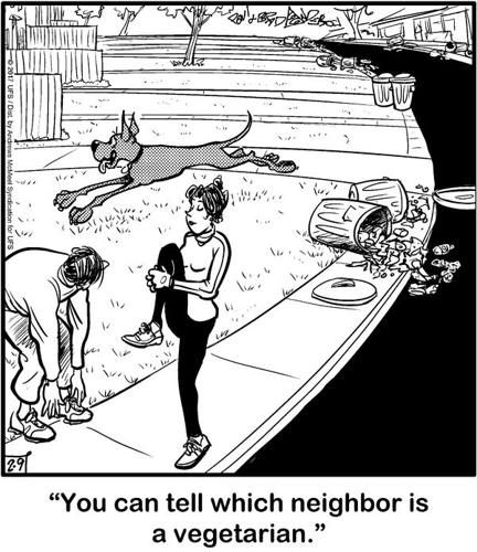 Marmaduke | Entertainment | thederrick.com
