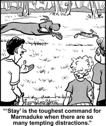 Marmaduke | Entertainment | thederrick.com