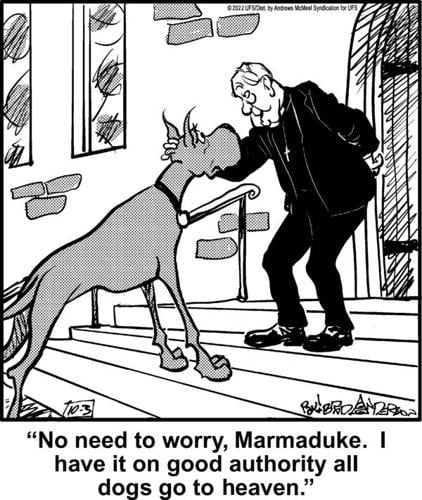 Marmaduke | Entertainment | thederrick.com