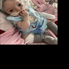 Addison 'Addie' Raine Dolby | Obituaries | thederrick.com