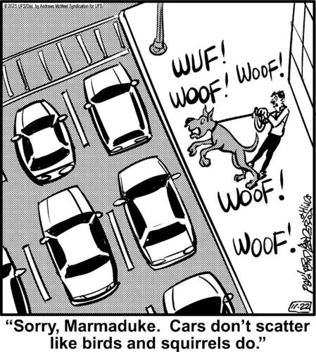 Marmaduke | Entertainment | thederrick.com