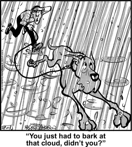 Marmaduke | Entertainment | thederrick.com