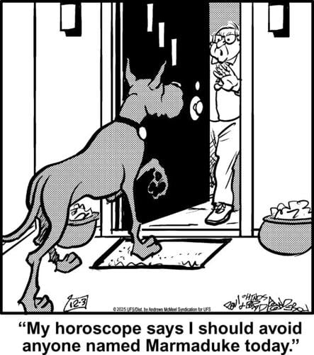 Marmaduke | Entertainment | thederrick.com