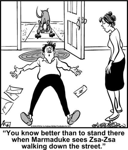 Marmaduke | Entertainment | thederrick.com