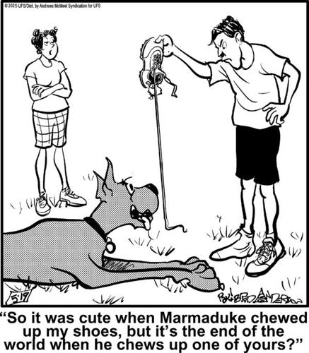 Marmaduke | Entertainment | thederrick.com