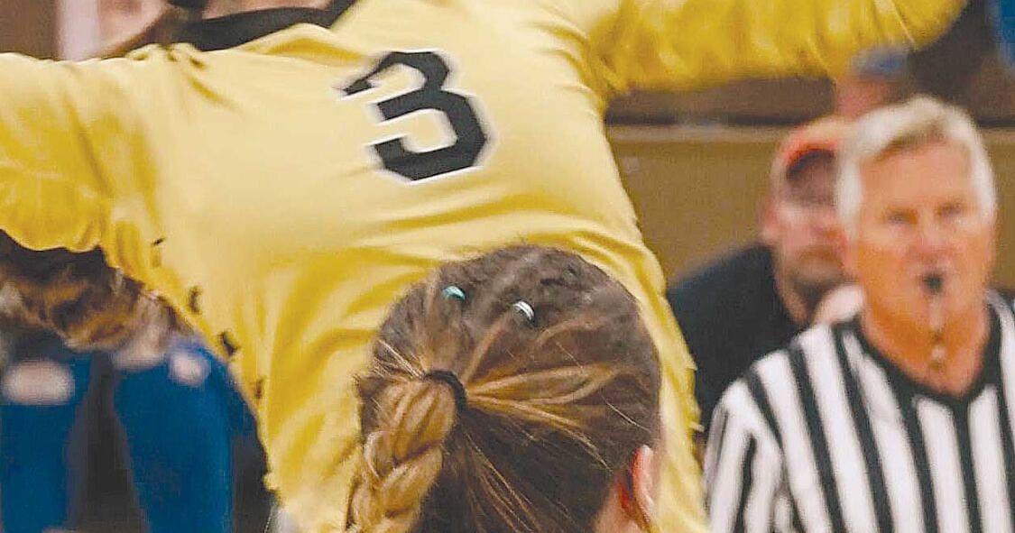 Panthers rally back to trim Oilers | Local Sports | thederrick.com