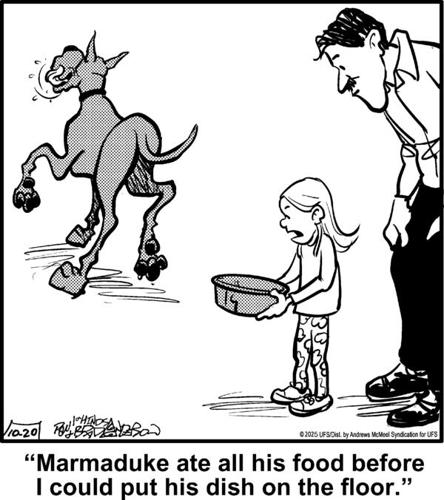 Marmaduke | Entertainment | thederrick.com