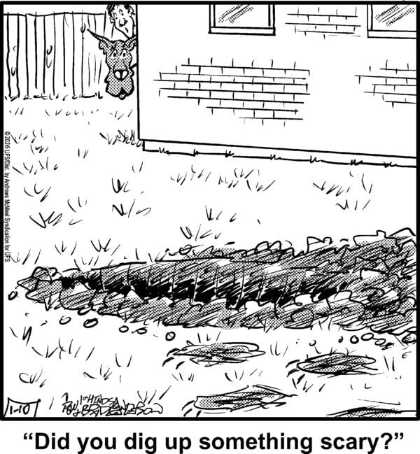 Marmaduke | Entertainment | thederrick.com