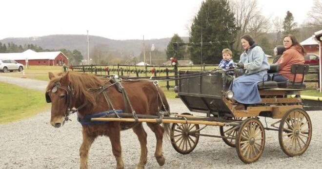 VARHA open house Saturday to feature pony rides, tour | Community News ...