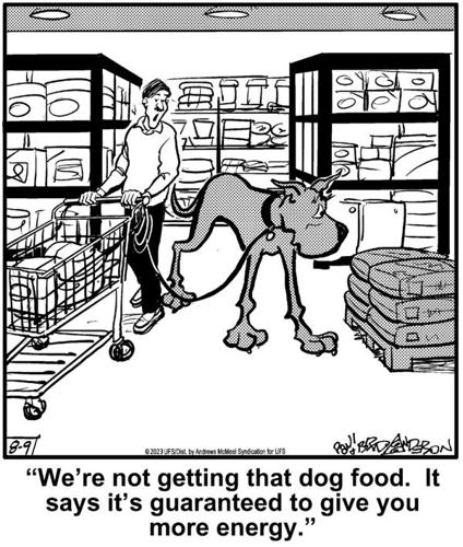 Marmaduke | Entertainment | thederrick.com