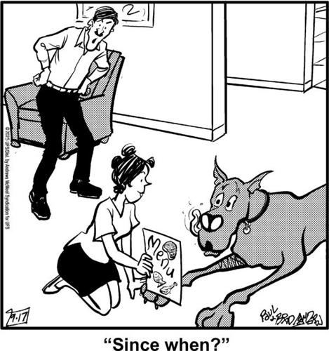 Marmaduke | Entertainment | thederrick.com