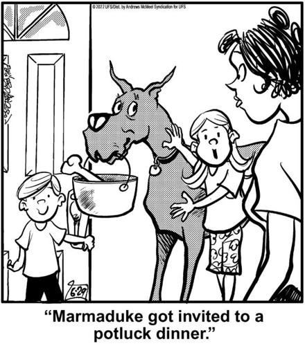 Marmaduke | Entertainment | thederrick.com