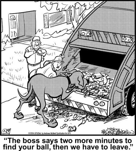 Marmaduke | Entertainment | thederrick.com