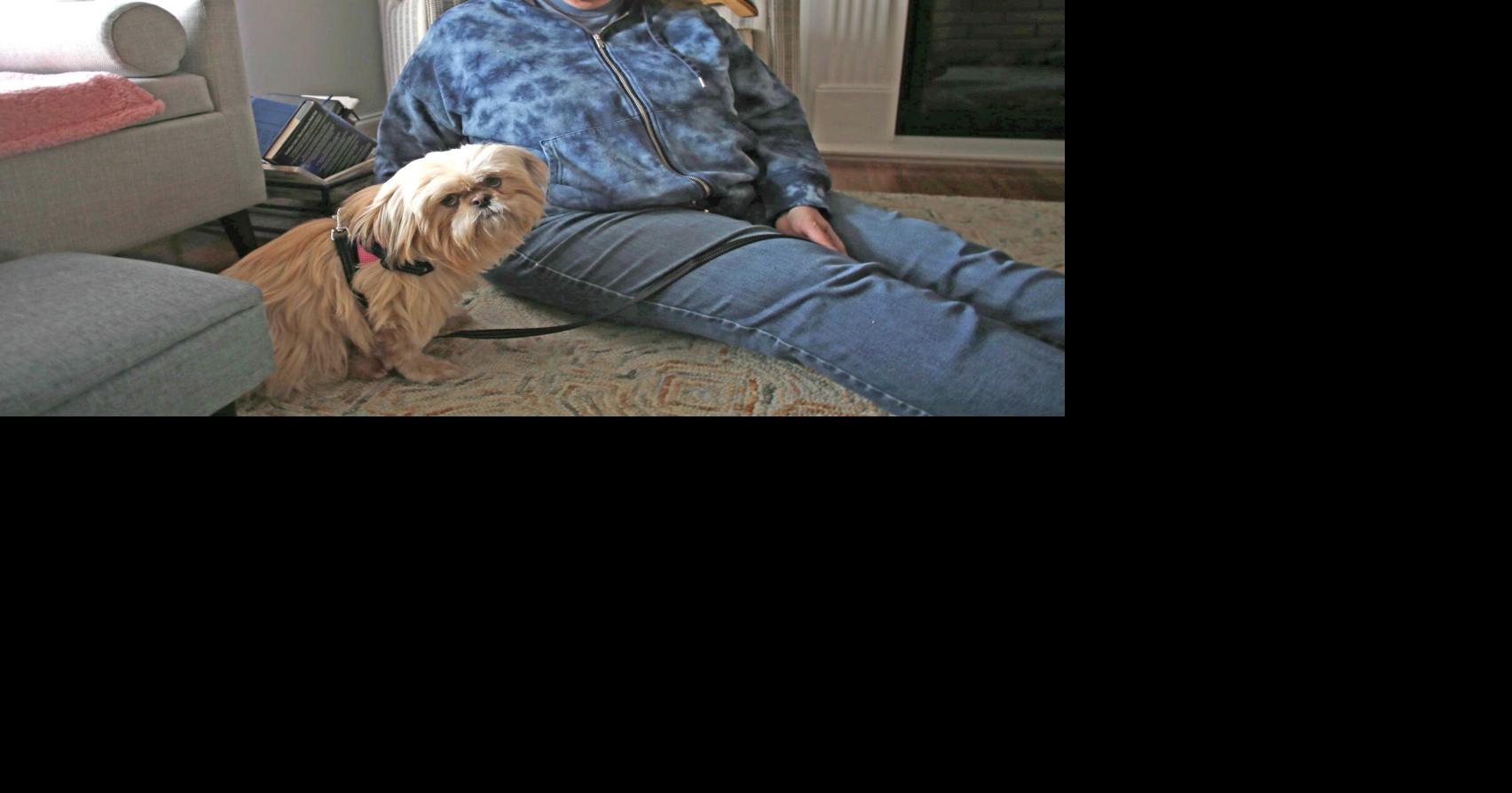 Journey's long journey has brought her to new home and new friends ...