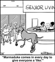 Marmaduke | Entertainment | thederrick.com