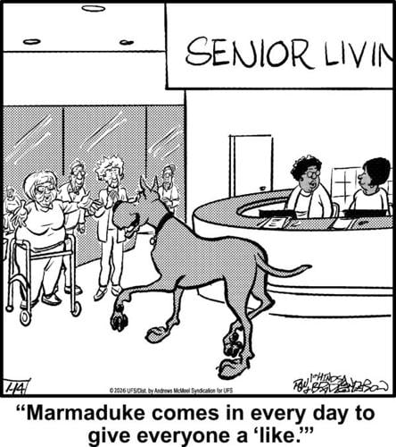 Marmaduke | Entertainment | thederrick.com