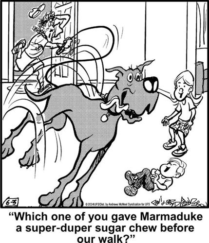 Marmaduke | Entertainment | thederrick.com