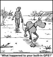 Marmaduke | Entertainment | thederrick.com