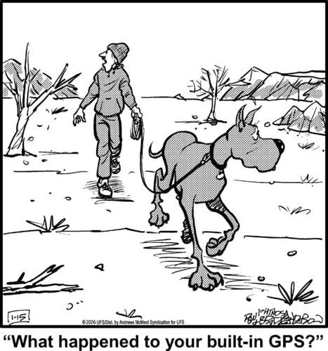 Marmaduke | Entertainment | thederrick.com