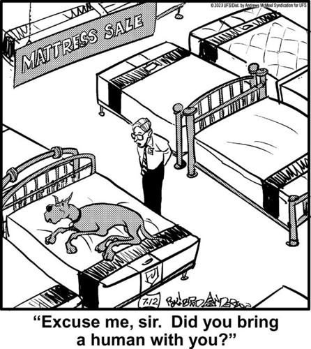 Marmaduke | Entertainment | thederrick.com