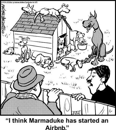 Marmaduke | Entertainment | thederrick.com