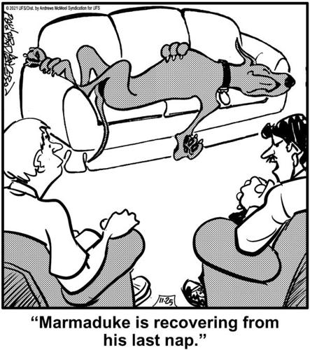 Marmaduke | Entertainment | thederrick.com