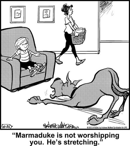 Marmaduke | Entertainment | thederrick.com