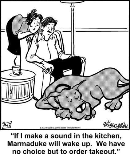 Marmaduke | Entertainment | thederrick.com