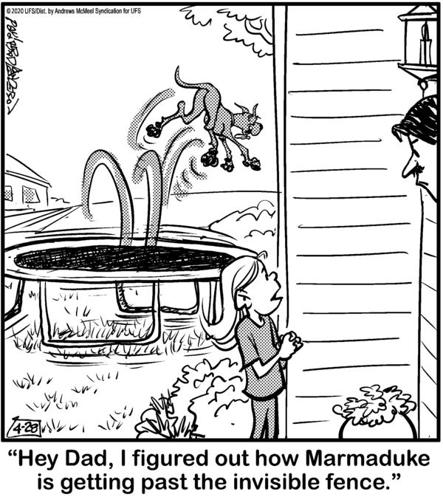 Marmaduke | Entertainment | thederrick.com
