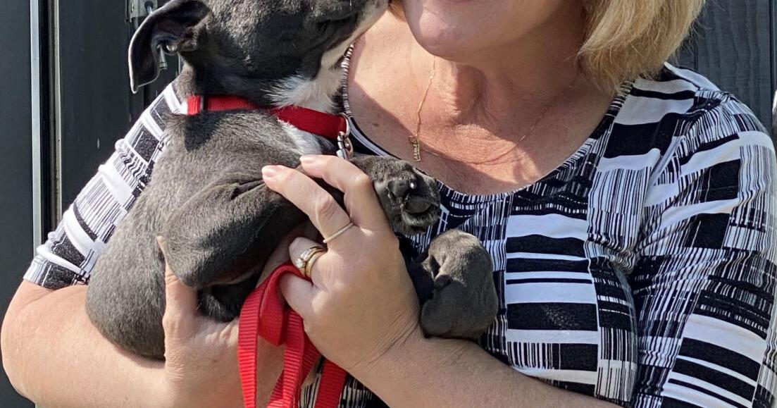 Precious Paws welcomes 22 dogs | Free | thederrick.com