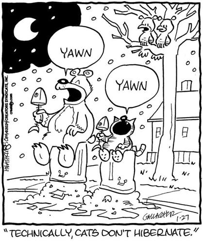 Heathcliff | Entertainment | thederrick.com