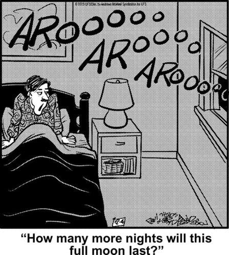 Marmaduke | Entertainment | thederrick.com