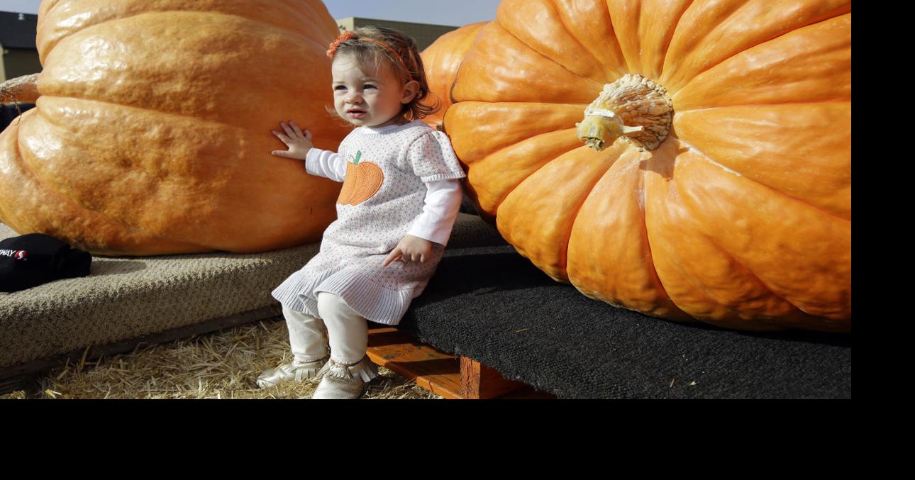California contest dubs 1,969-pound pumpkin the plumpest in the land ...