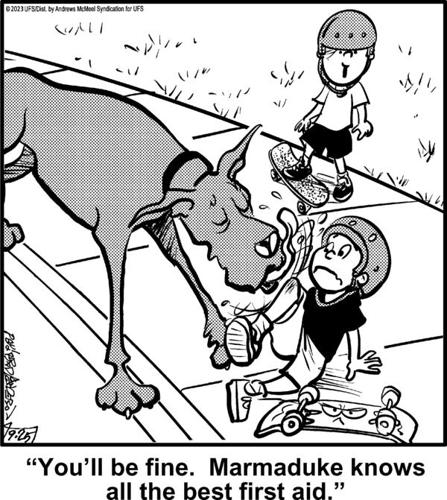 Marmaduke | Entertainment | thederrick.com