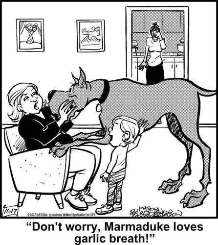 Marmaduke | Entertainment | thederrick.com