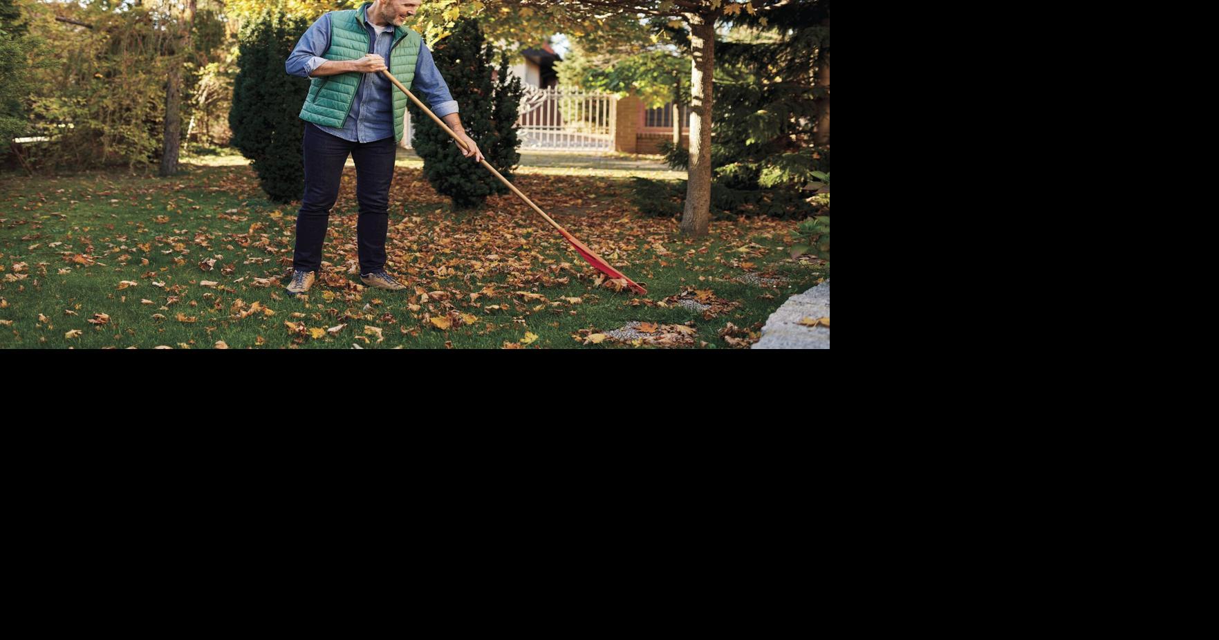 Autumn lawn maintenance tips for a healthy yard | Features | thederrick.com
