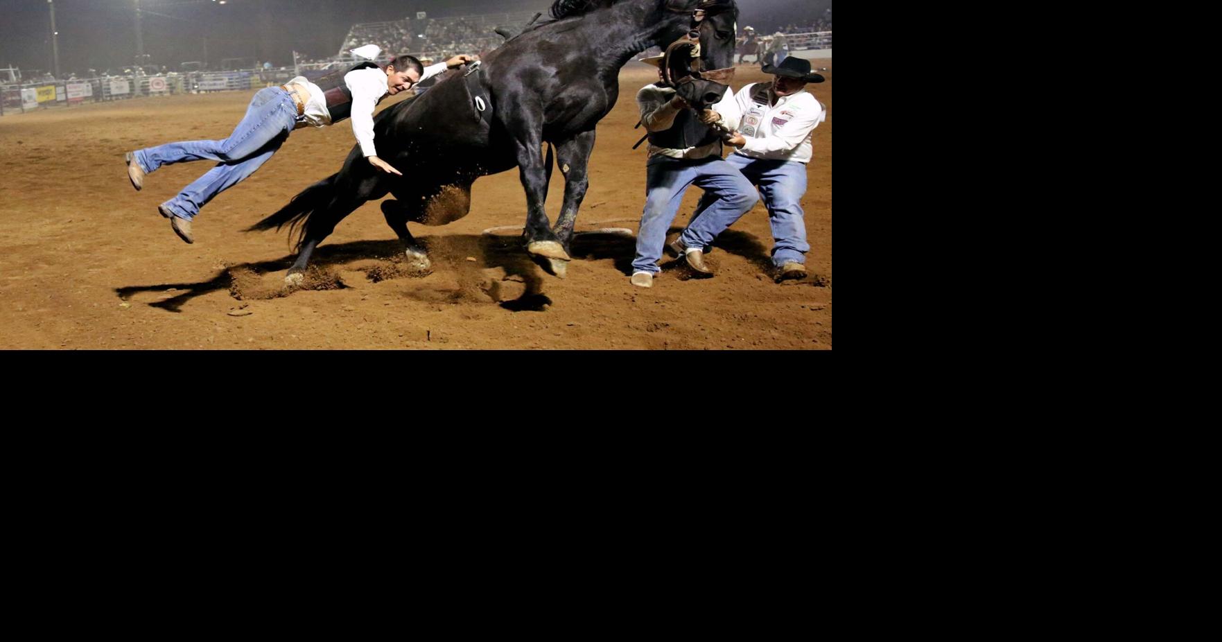 Cowboys, mutton and mayhem rule the arena at 69th rodeo | Agriculture ...