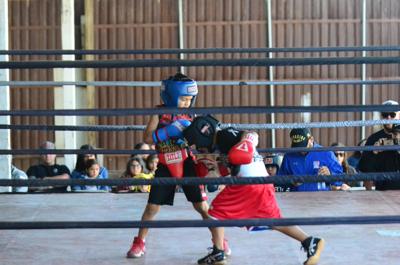 Sparta Boxing sets stage for first time boxers | News | thedesertreview.com