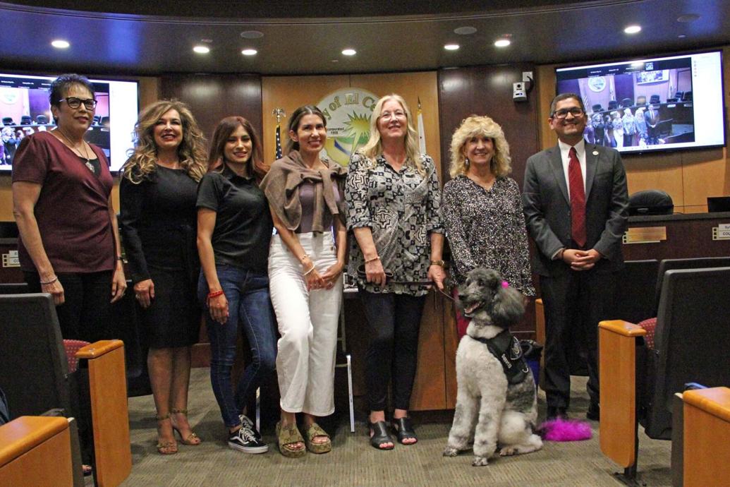 El Centro Police Department introduces Brinley the therapeutic support ...
