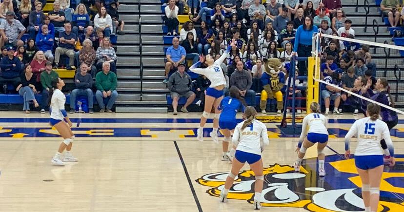 Wildcats spike Sultans, move on to regional semis | Sports ...