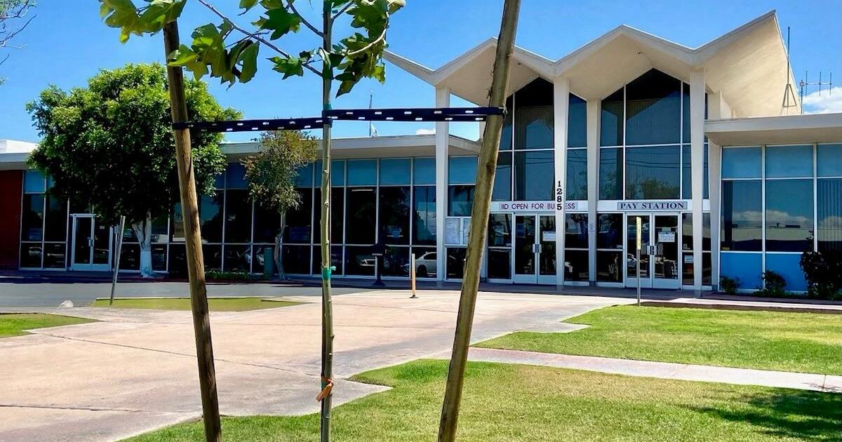 IID launches new free shade tree program to promote energy conservation ...