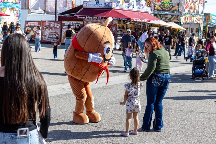 County Fair & Date Festival delivers $92.4M economic impact for ...
