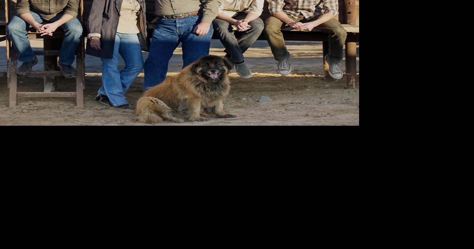 Losing an anchor; Chief Mark Gillmore | Letter to the Editor ...