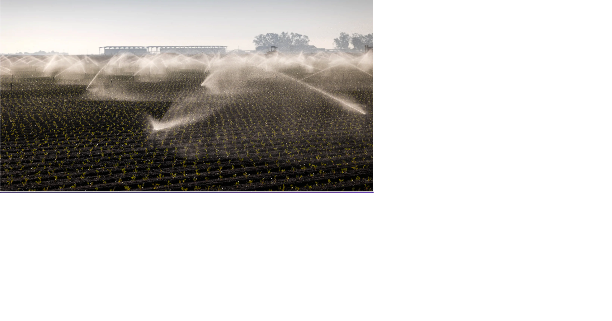 Valley growers look to be part of the solution | Agriculture ...