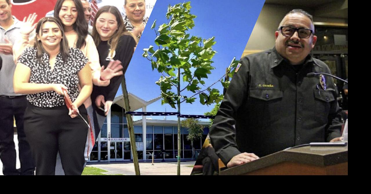 🎥 Weekly Webcast: IID launches new free shade tree program and more ...